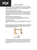 Maniobras y Signos de La Apendicitis | PDF | Gastroenterología | Medicina