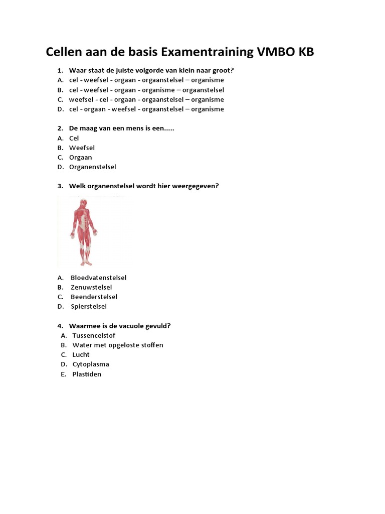 Cellen Aan de Basis Examentraining VMBO KB: 1. Waar Staat de Juiste ...