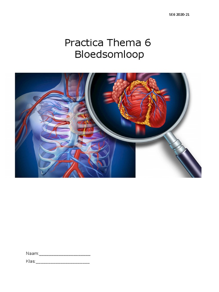 Practica Thema 6 Bloedsomloop: Naam: - Klas | PDF