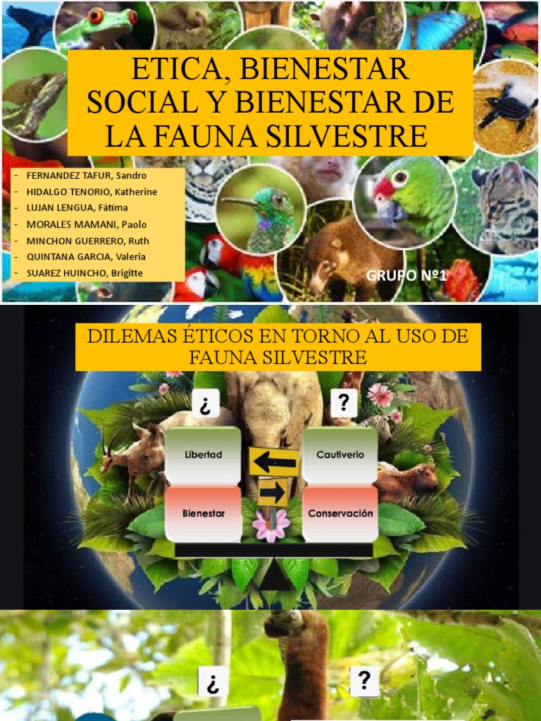 Etica, Bienestar Social Y Bienestar de La Fauna Silvestre: Grupo Nº1 | PDF | Fauna | Bienestar ...