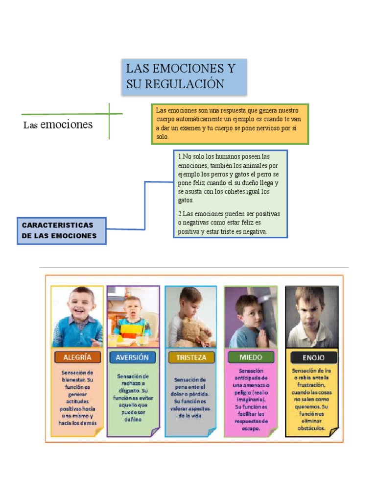 Las Emociones Y Su Regulacion Pdf