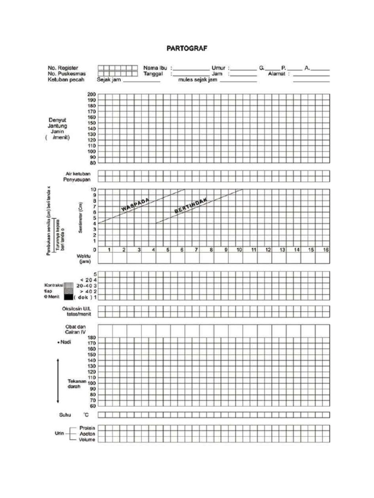Partograf | PDF