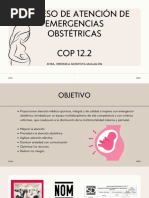 Manual Codigo Mater y Erio | PDF | Hospital | Reanimación cardiopulmonar