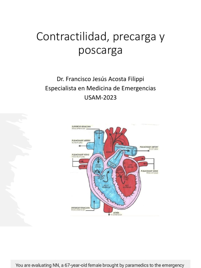 Contractilidad J Precarga y Poscarga | PDF