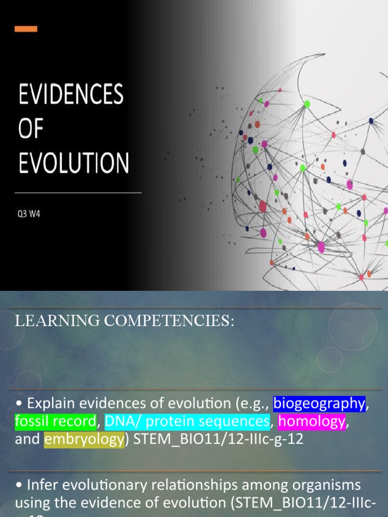 Evidence of Evolution: Quarter 3:week 4 | PDF | Fossil | Evolution