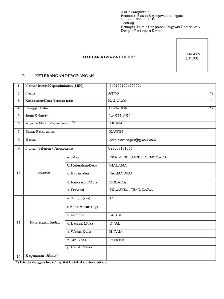 Daftar Riwayat Hidup - BKN PPPK | PDF