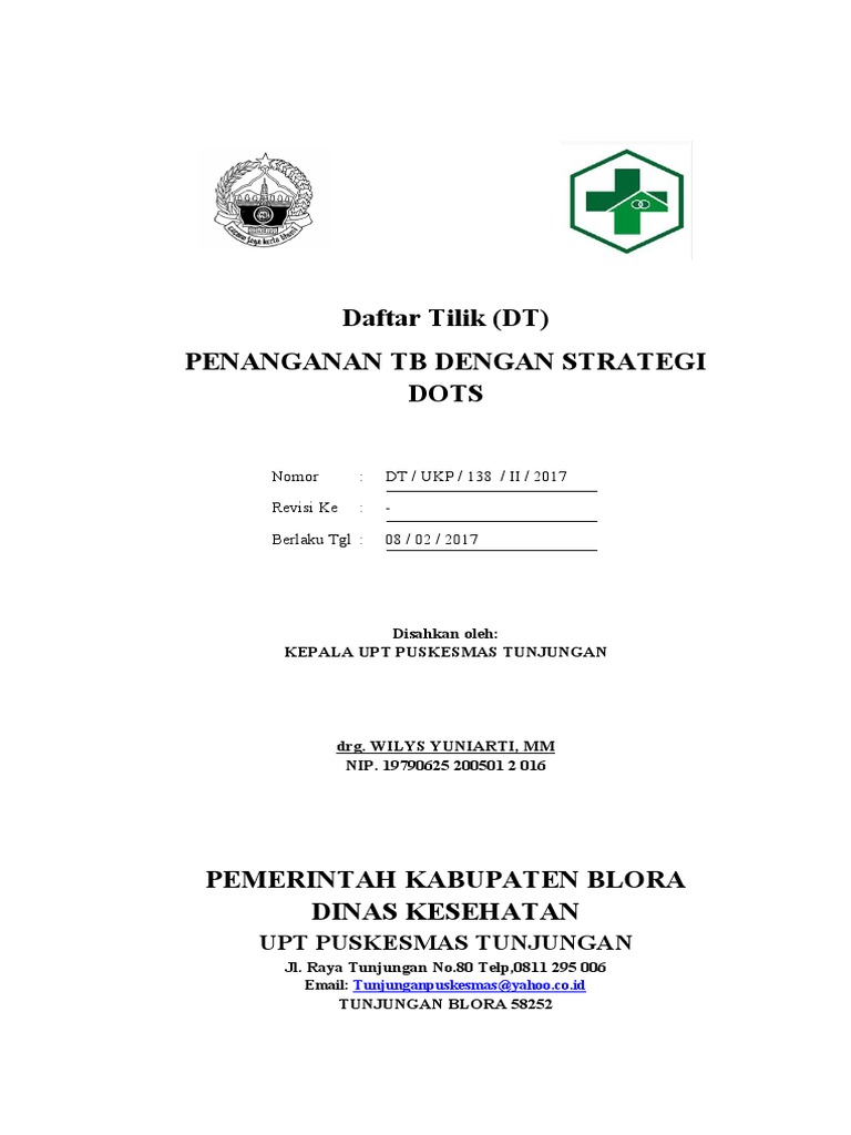 DT Strategi DOTS | PDF