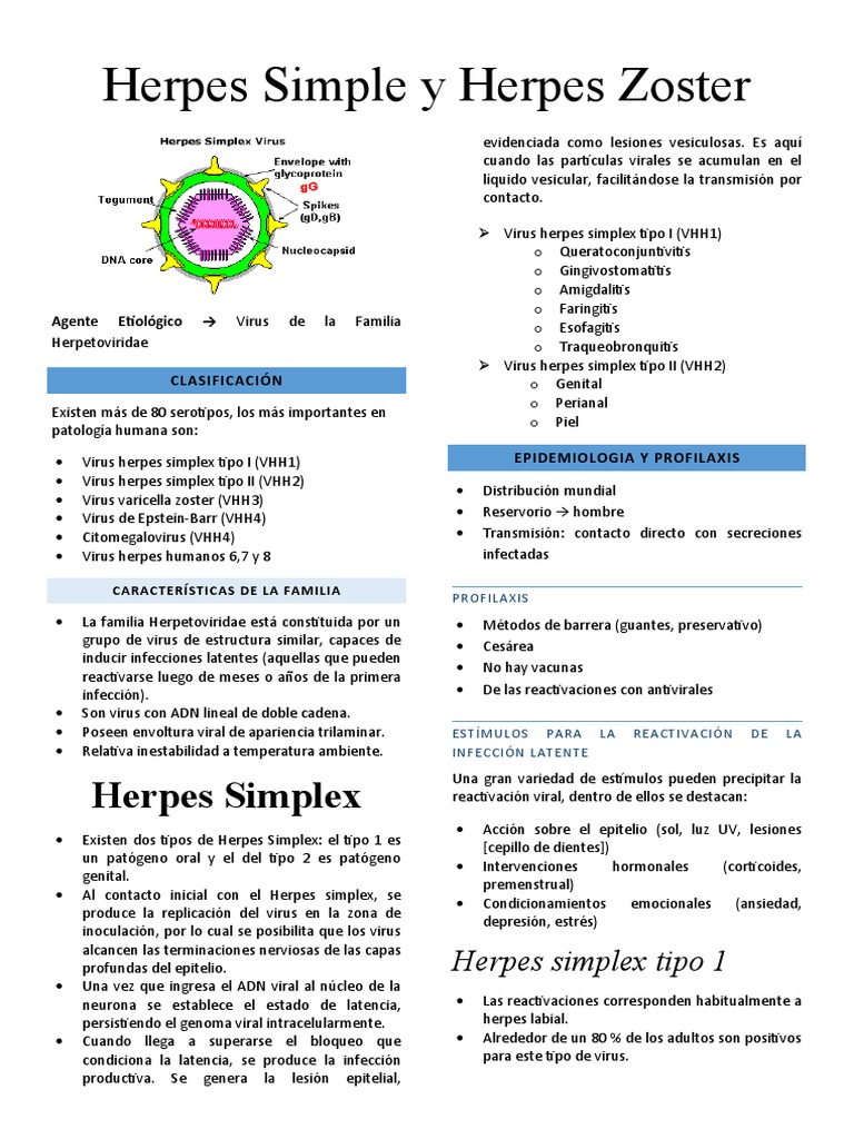 Herpes Simple y Zóster: Tipos y Tratamientos | PDF | Herpes Simple | Virus