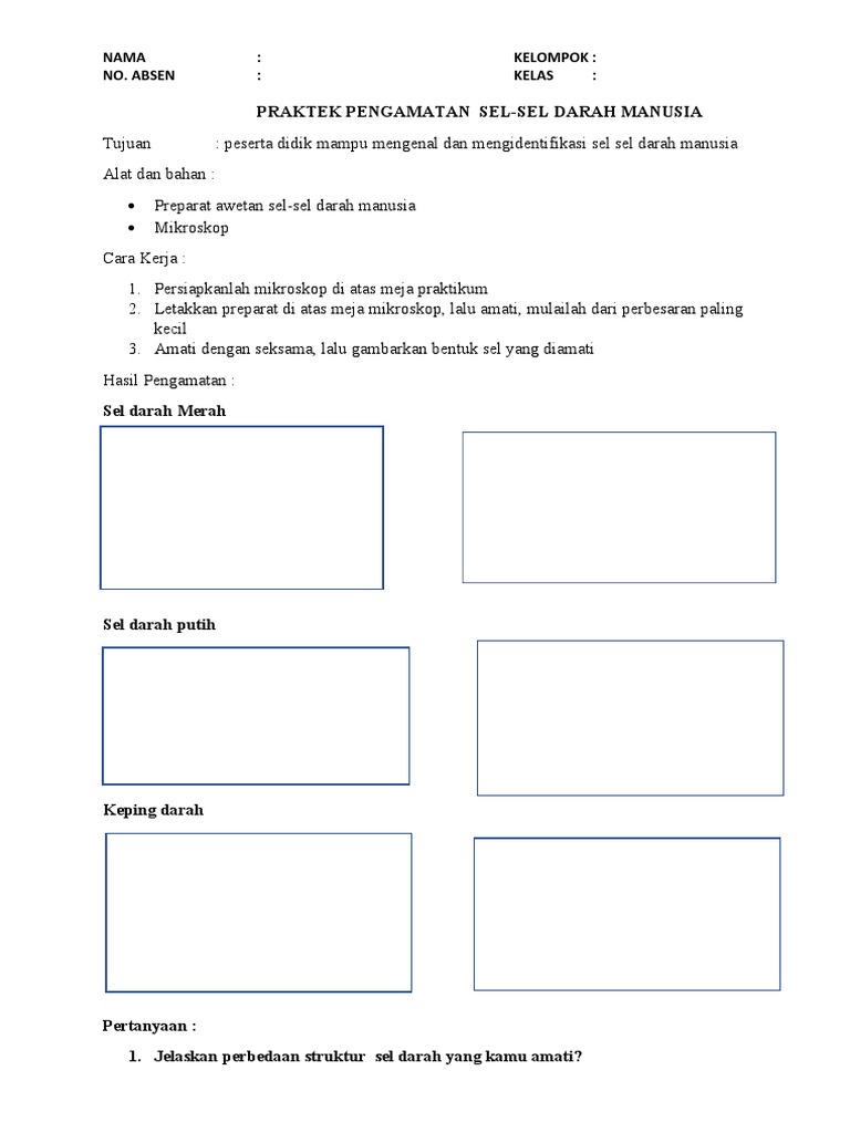 Praktek Pengamatan Sel Darah Manusia | PDF | Pengembangan Diri | Kesehatan Holistik