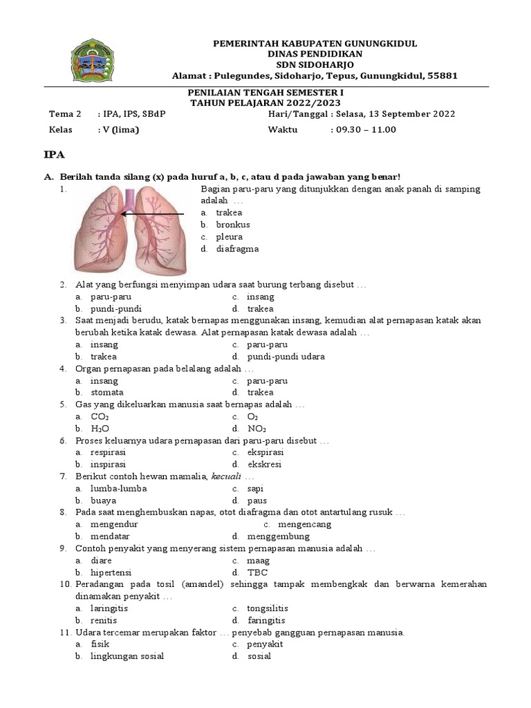 SOAL PTS TEMA 2 (IPA IPS SBDP) KELAS 5 | PDF | Kajian Bahasa Asing