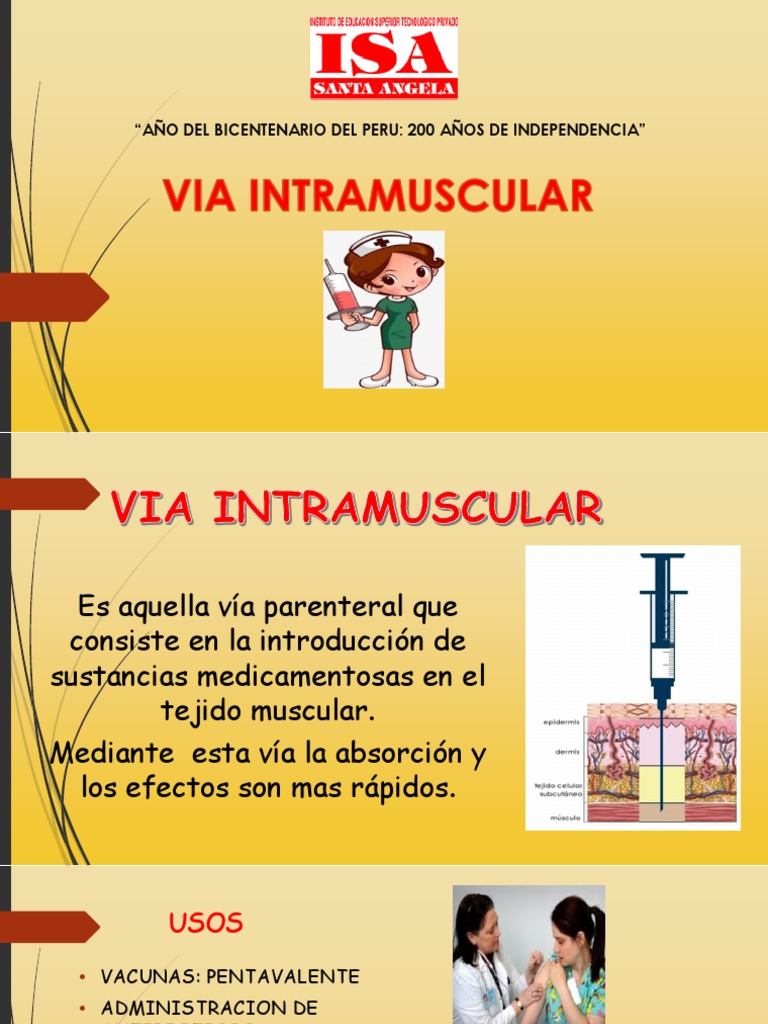 Via Intramuscular | PDF | Inyección (medicina) | Medicina CLINICA