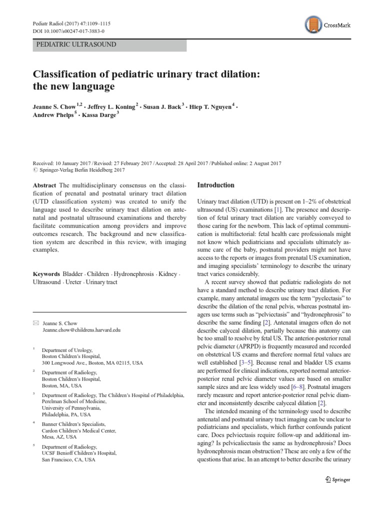 Pediatric Urinary Tract Dilation Classification | PDF | Kidney ...