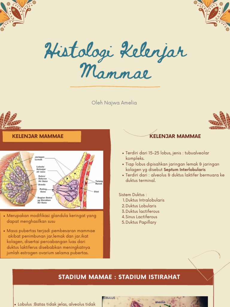 Histologi Kelenjar Mammae-3 | PDF