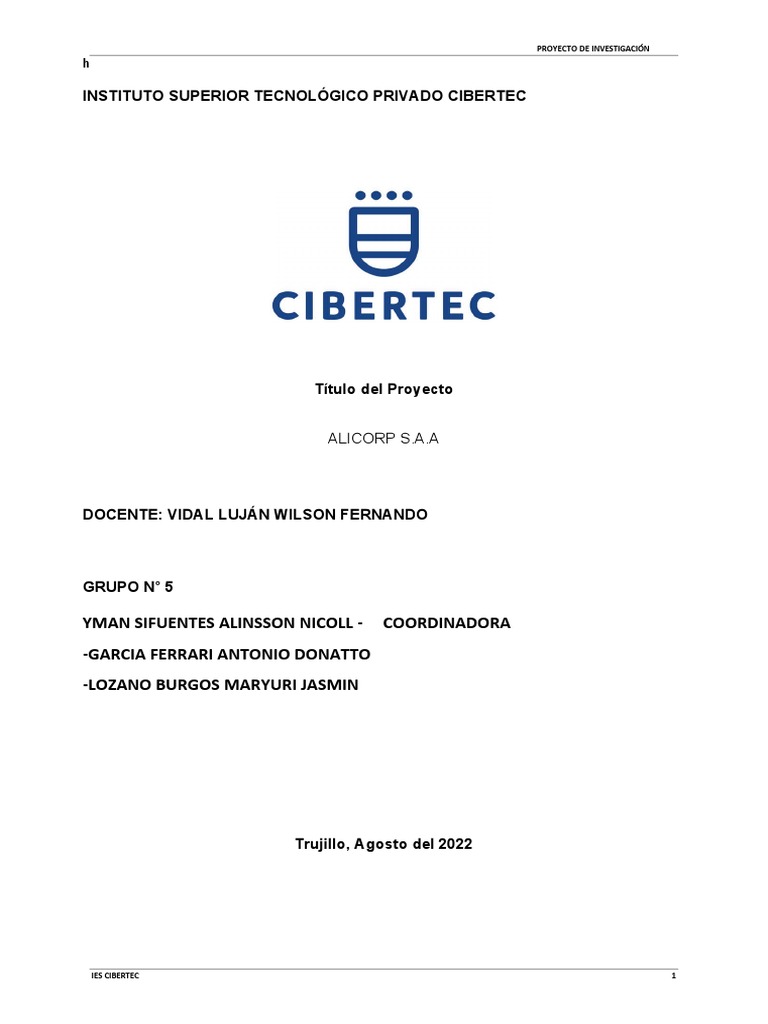 Proyecto Alicorp | PDF