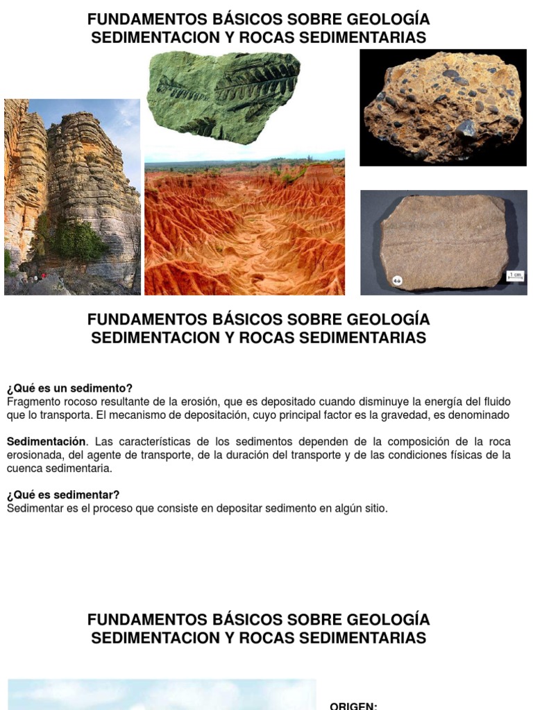 Fundamentos Básicos Sobre Geología Sedimentacion Y Rocas Sedimentarias ...