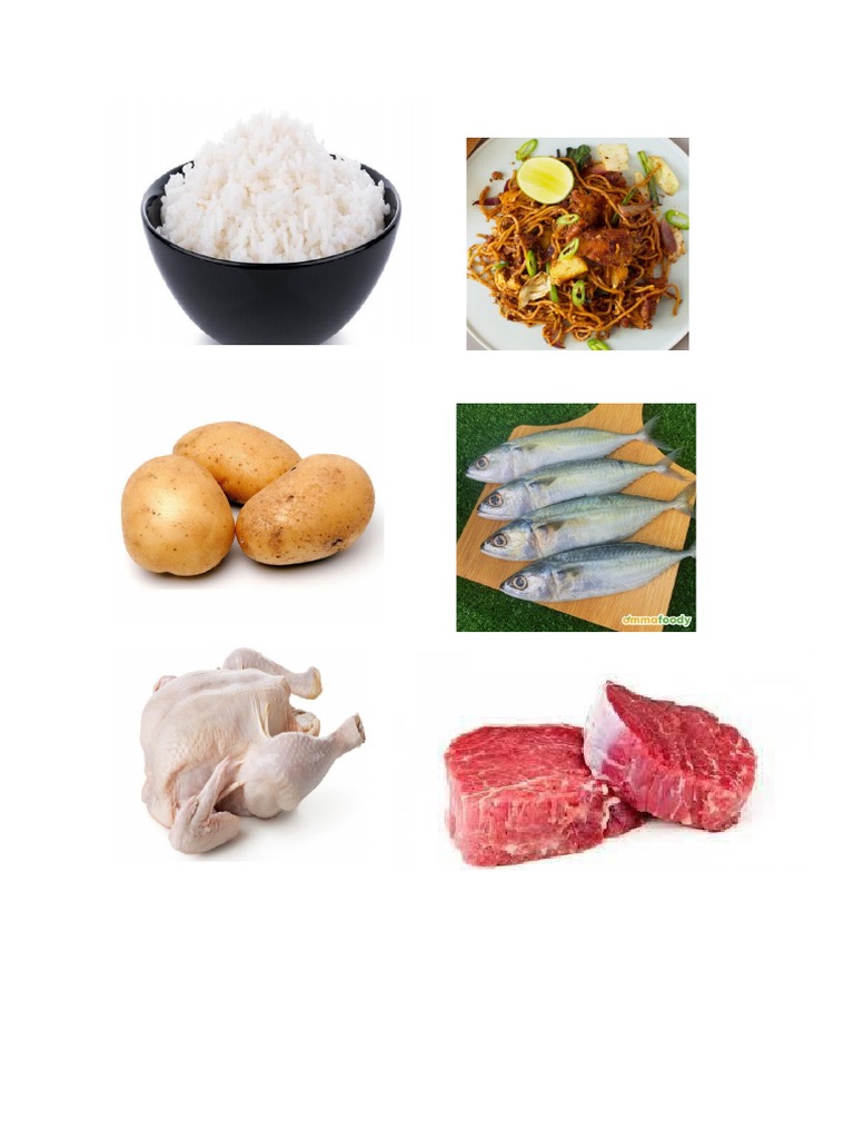 Gambor Makanan Piramid Makanan | PDF