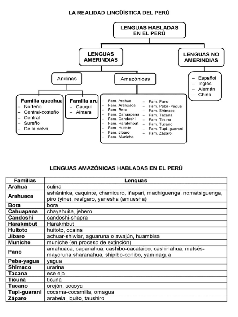 Tilde Diacrítica y Diversidad Lingüística en Perú | PDF | Estudios de ...