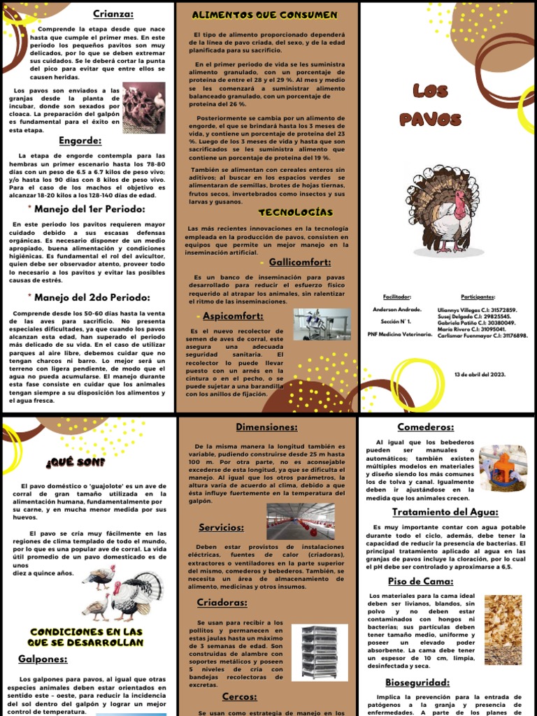 [CRIANZA Y MANEJO DE PAVOS] | PDF | Agua