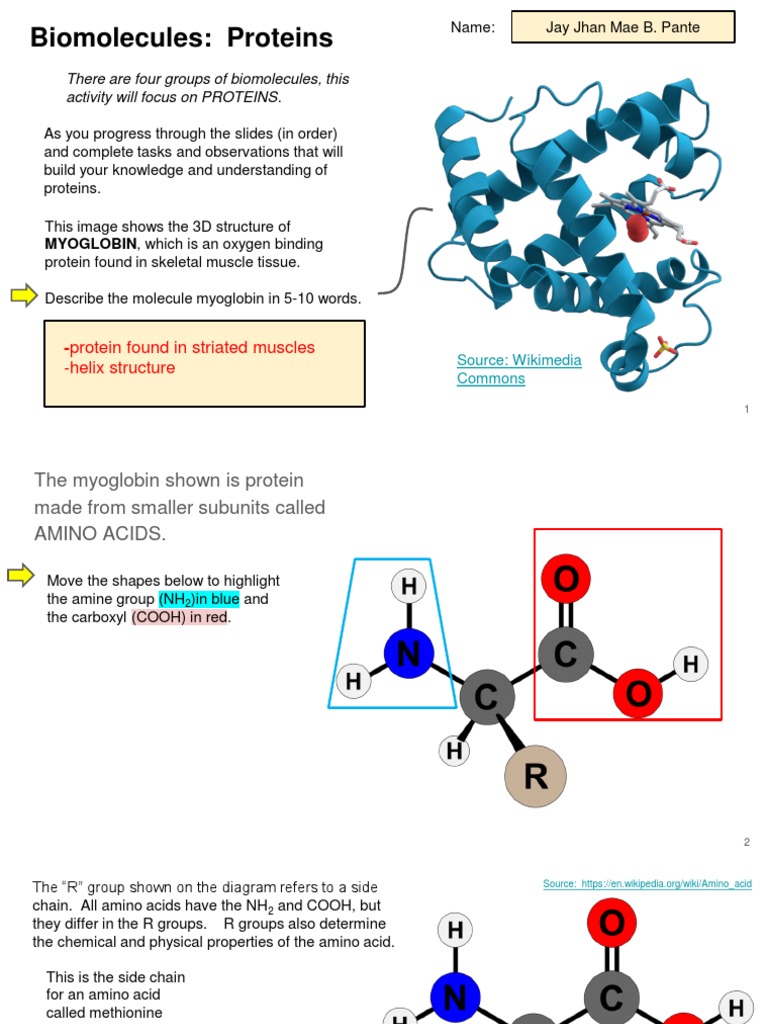 Proteins Guided Learning | PDF | Amino Acid | Proteins