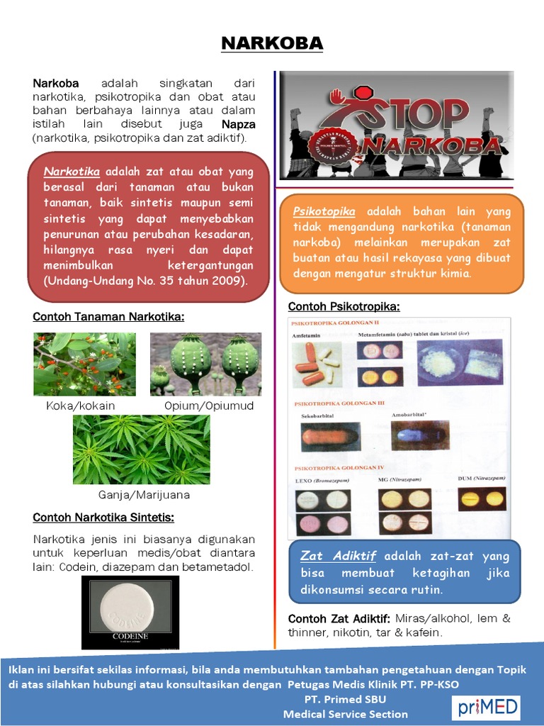 Narkoba | PDF