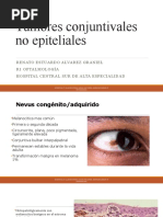 Quemaduras Faciales y Signos de Flogosis | PDF | Quemar | Inflamación