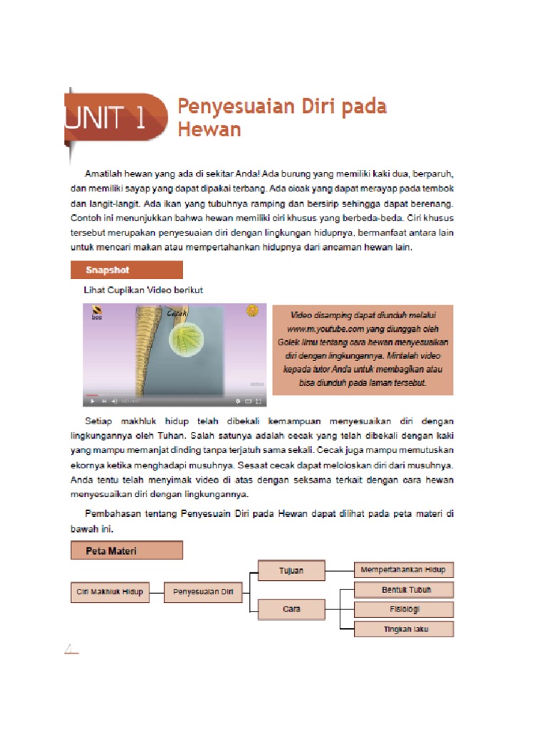 Modul 13 Unit 1.1 | PDF