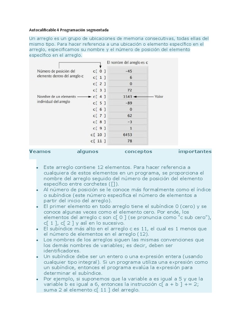 Autocalificable 4 Programación Segmentada | PDF | Informática