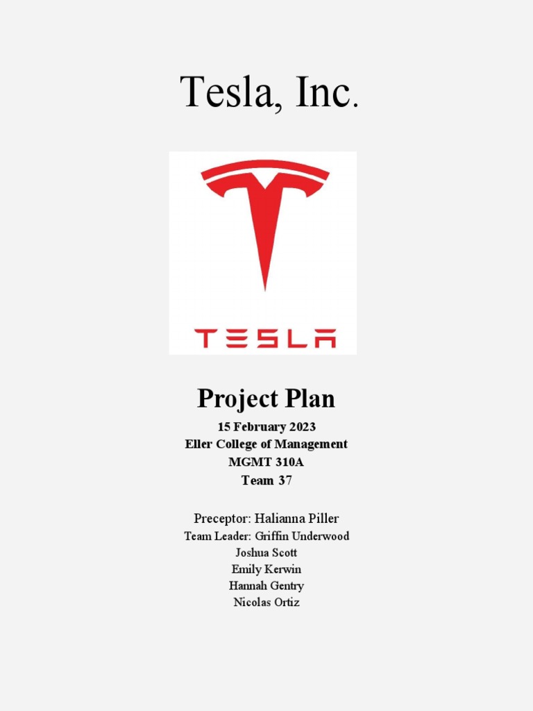 Tesla's Organizational Culture Study | PDF | Data | Cognitive Science