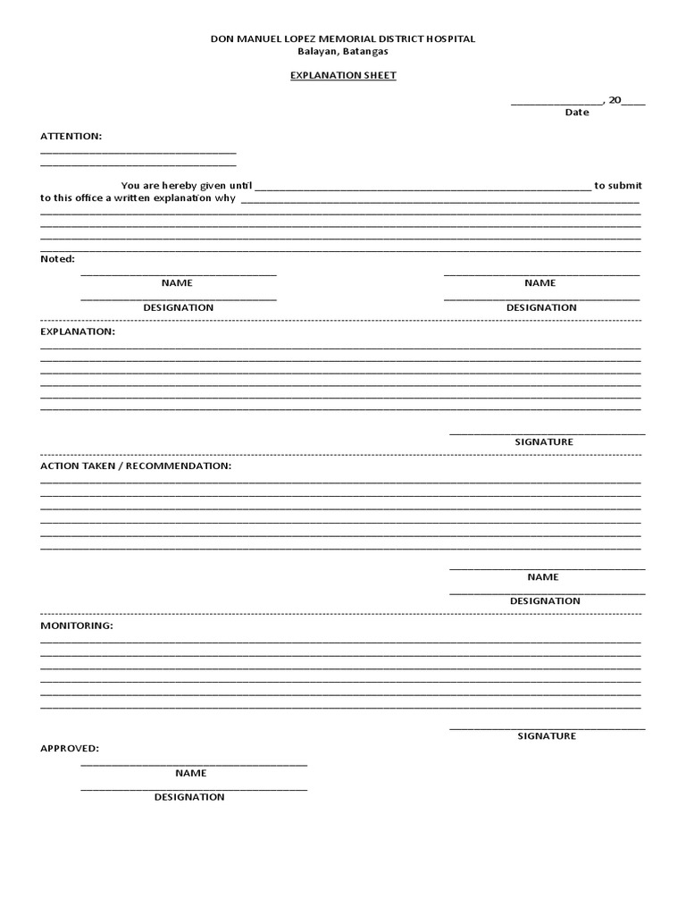 EXPLANATION SHEET | PDF