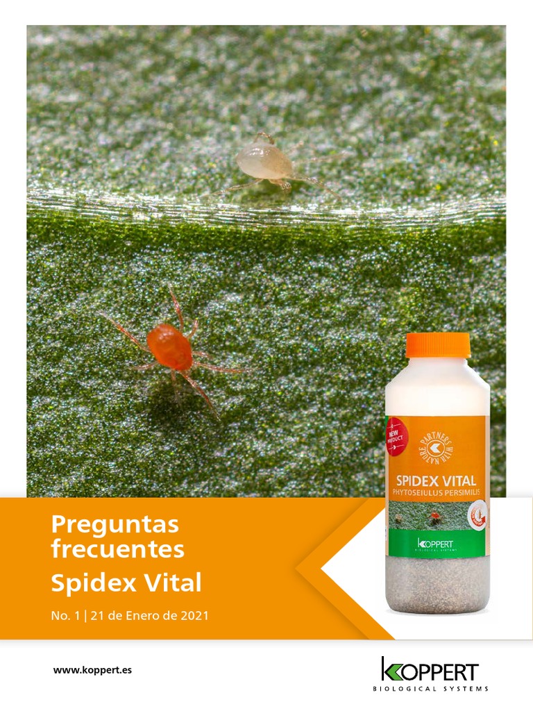 Preguntas Frecuentes Spidex Vital: No. 1 - 21 de Enero de 2021 | PDF