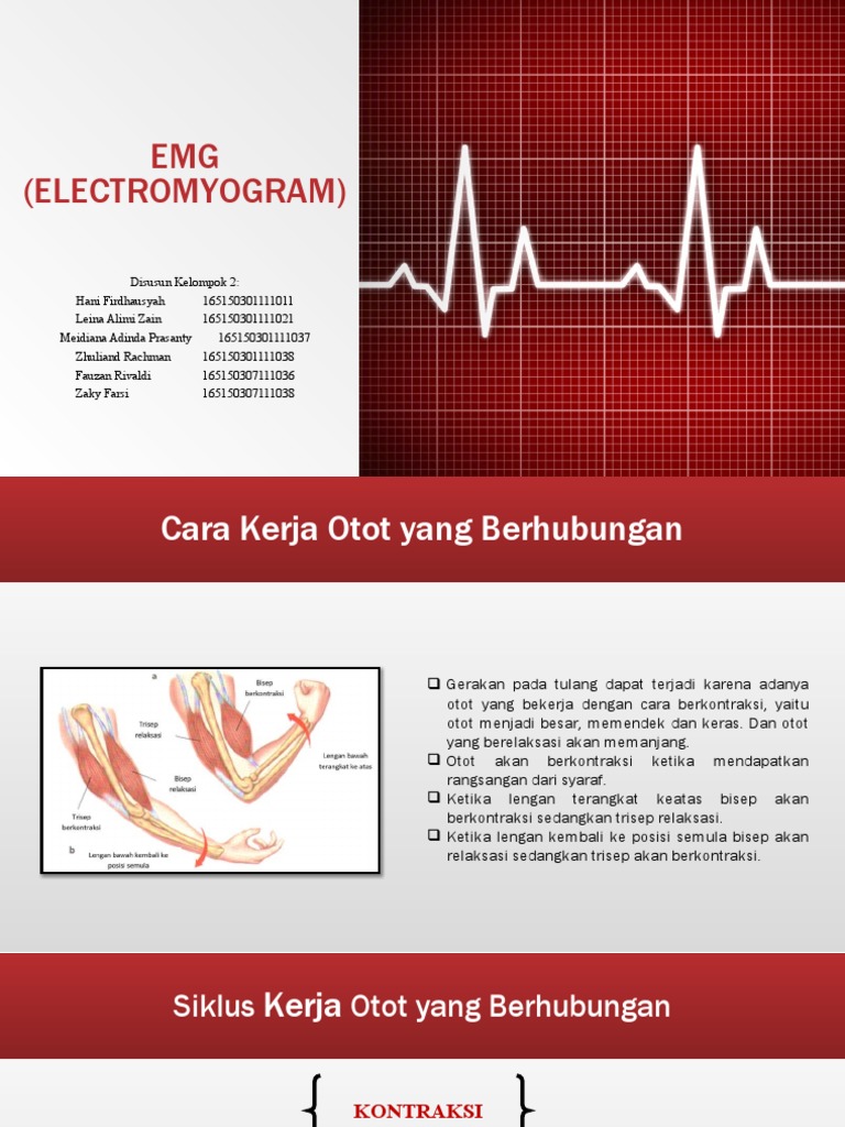Panduan Elektromiografi dan EMG | PDF