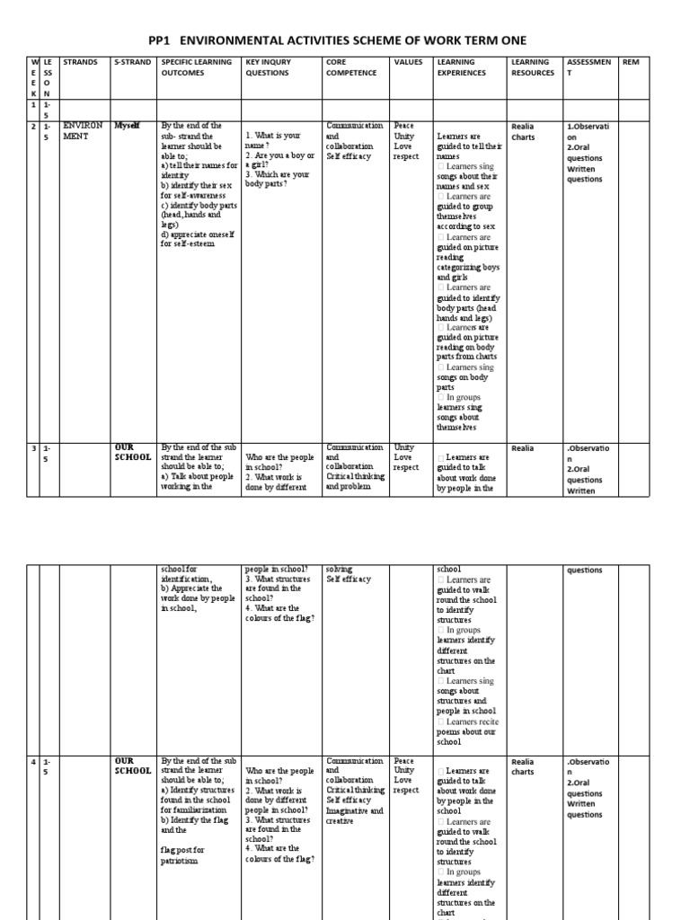 PP1 Schemes of Work Environment | PDF | Critical Thinking | Communication
