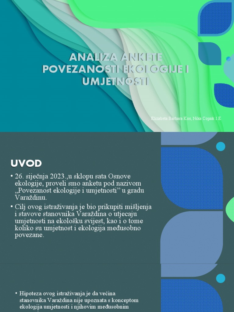 Analiza Ankete | PDF