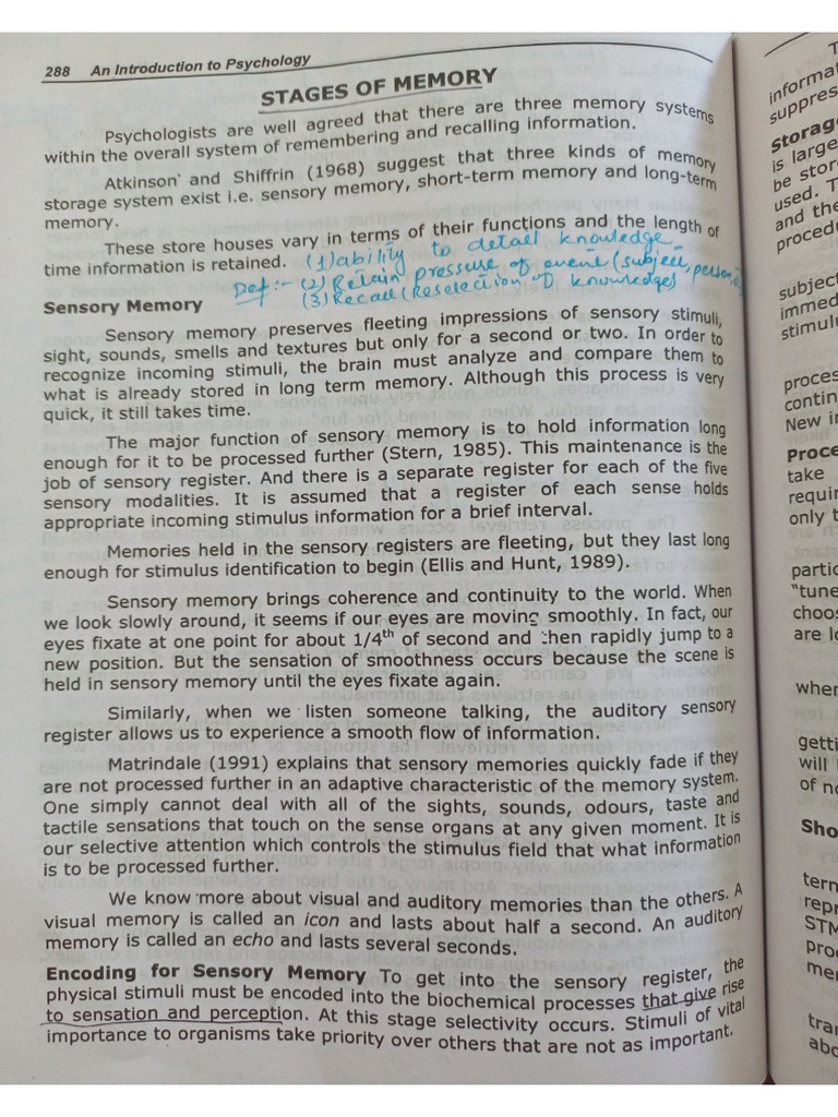 Memory and Forgetting | PDF