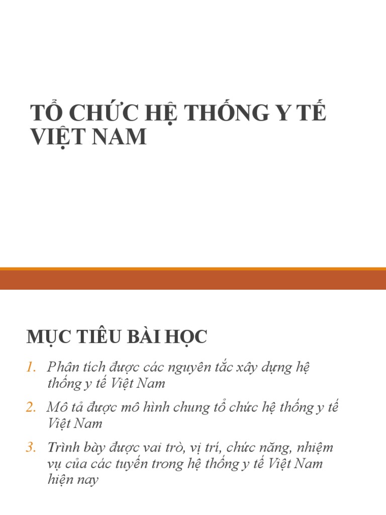2 - He Thong To Chuc y Te VN | PDF