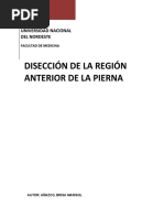 Guía de cortes histológicos de rata | PDF | Retina | Músculo esquelético