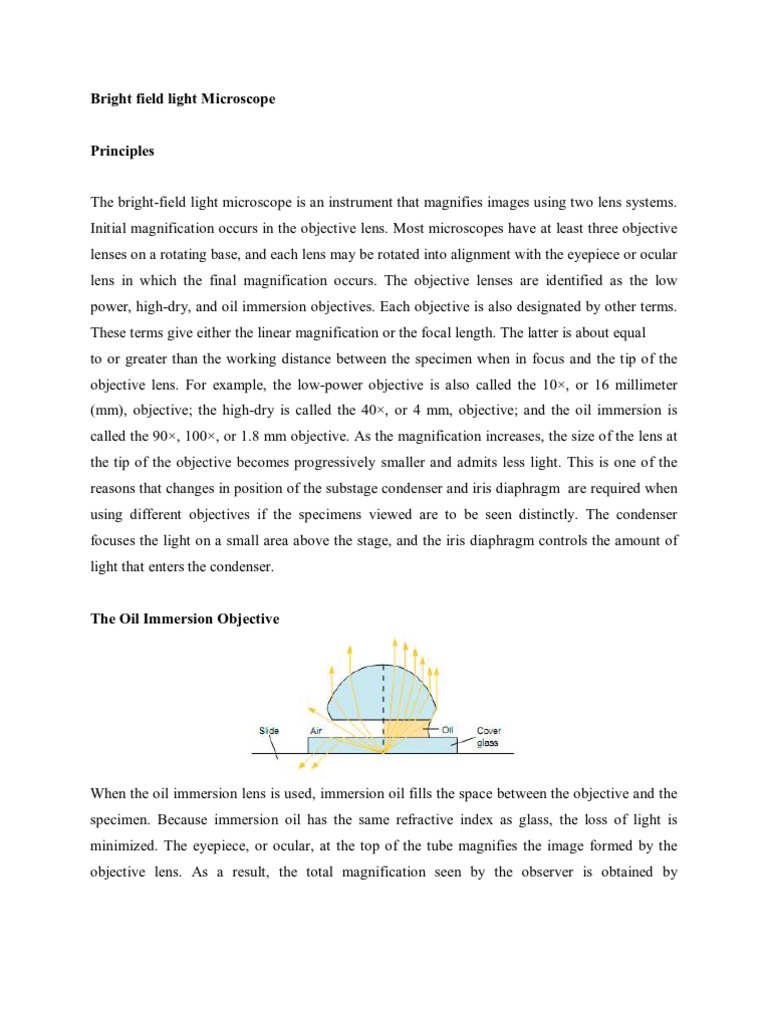 Bright Field Light Microscope | PDF