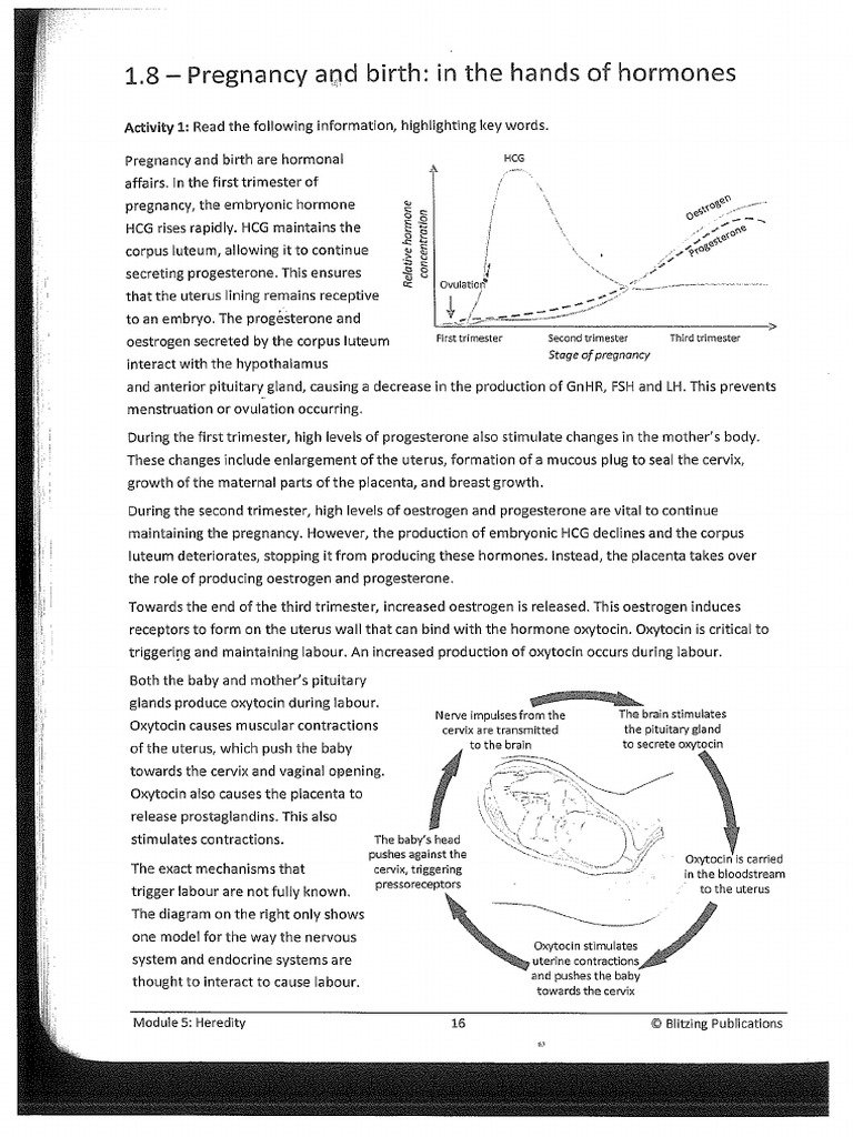 Bb12 Preg And Birth Pdf