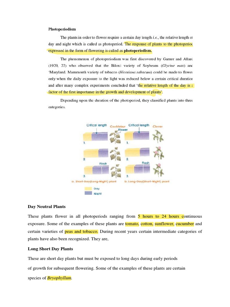 Day Neutral Plants | PDF | Plants | Botany