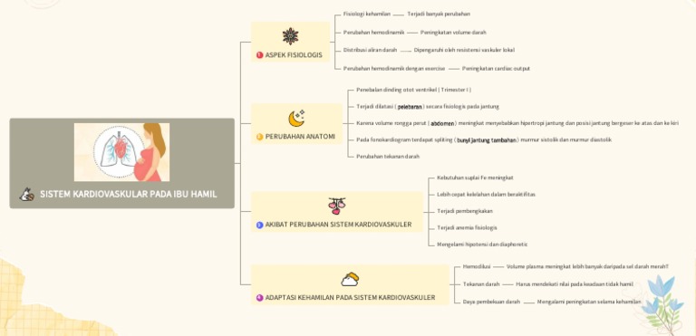 Mind Map Sistem Kardiovaskular Pada Ibu Hamil | PDF