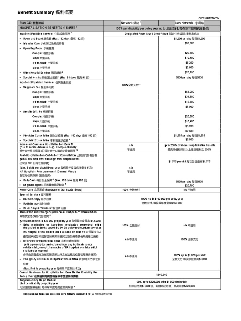 AIA Benefit Summary (Plan 4) | PDF