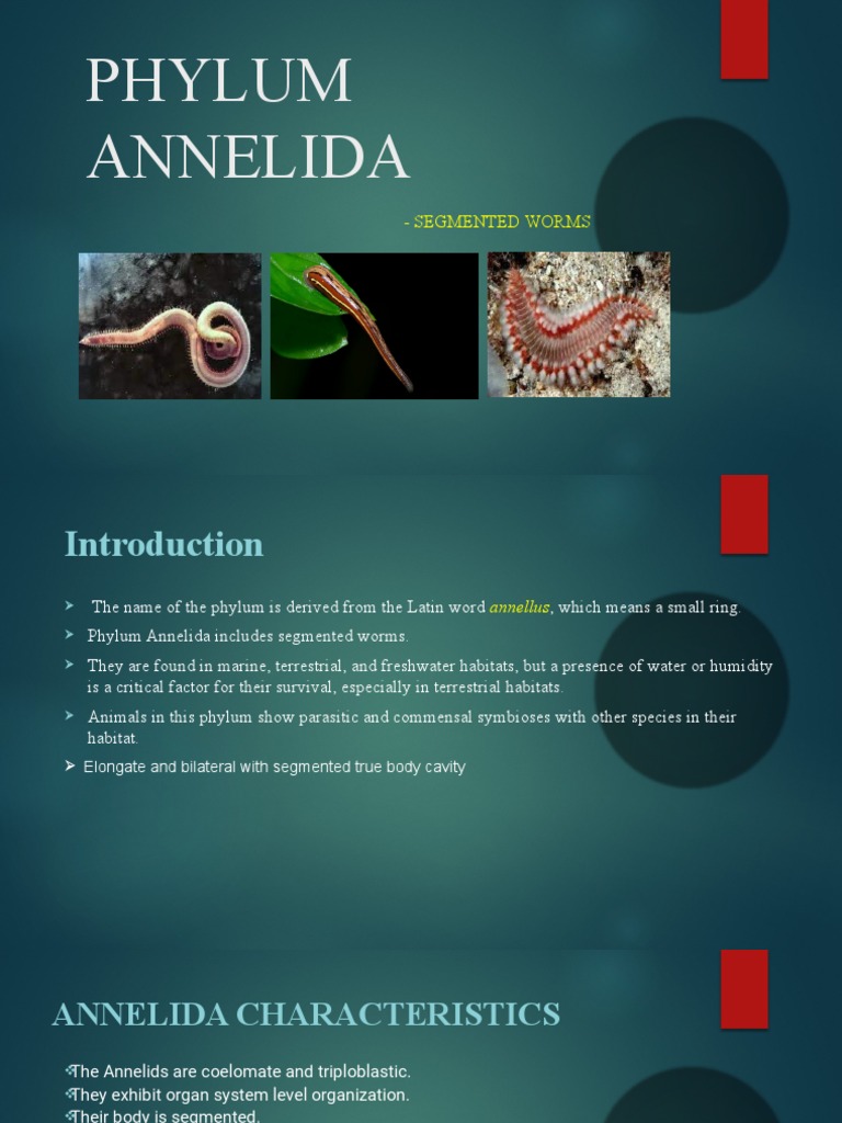 General Zoology | PDF | Nematode | Biology