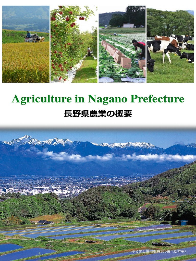 Agriculture in Nagano Prefecture | PDF | Agriculture | Food And Drink