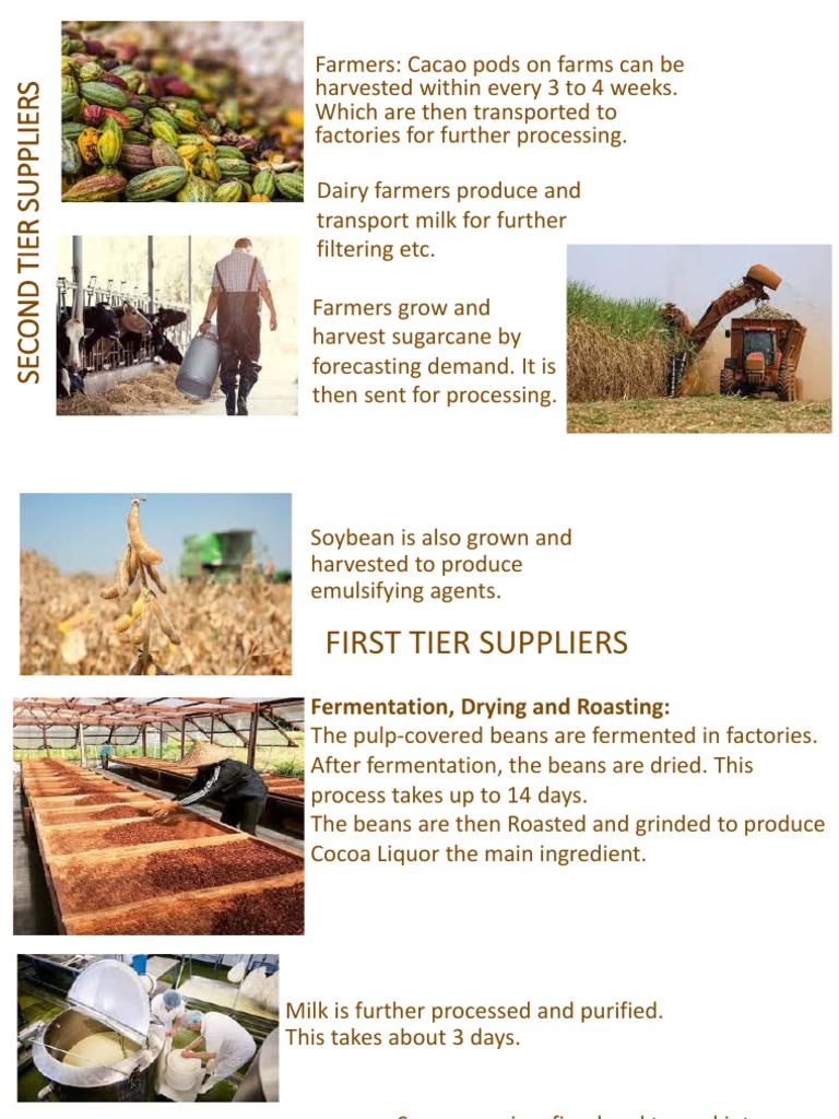 Chocolate Supply Chain Process | PDF | Chocolate | Cocoa Bean
