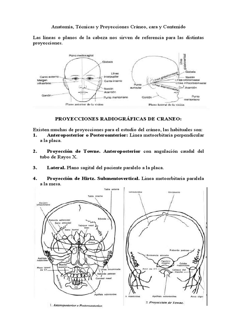 Semiologia y Anatomia, Tecnicas y Proyecciones CRANEO, CARA | PDF