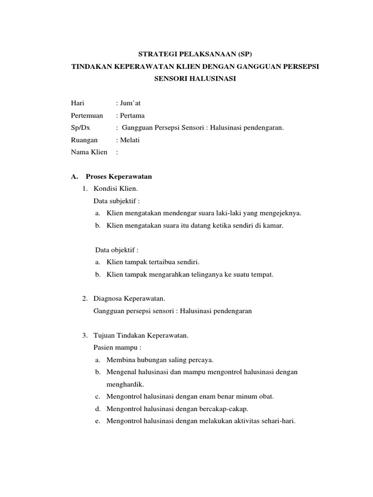 SP Halusinasi Kel 2 | PDF
