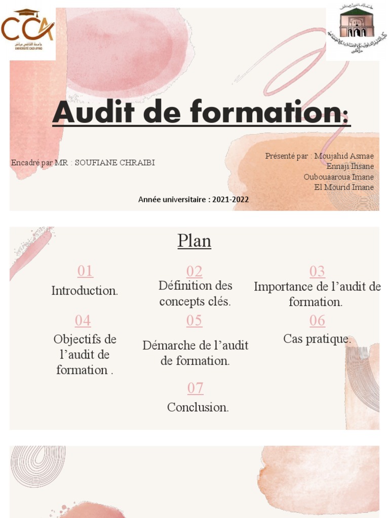 Audit de Formation : Objectifs et Méthodes | PDF | Audit | Gestion des ...