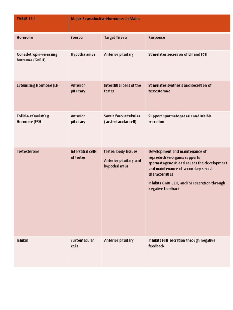 TABLE 19.1 Major Reproductive Hormones in Males | PDF | Luteinizing ...