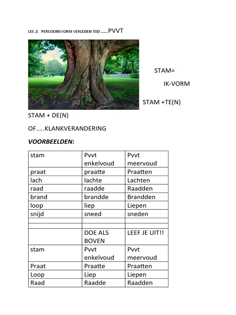 Voorbeelden:: Les 2: Persoonsvorm Verleden Tijd | PDF