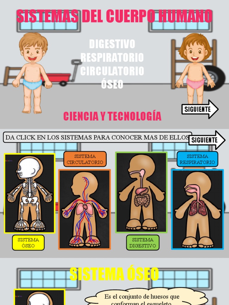 Sistemas del Cuerpo Humano para Niños | PDF | Sistema circulatorio ...